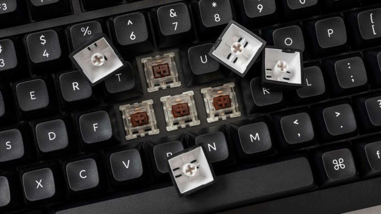 All About Clicky Switch Mechanisms – Credkeys