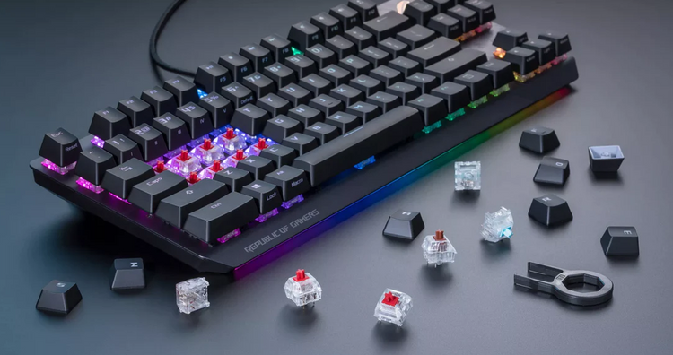 A Complete Guide on the Different Types of Keyboard Switches – Credkeys