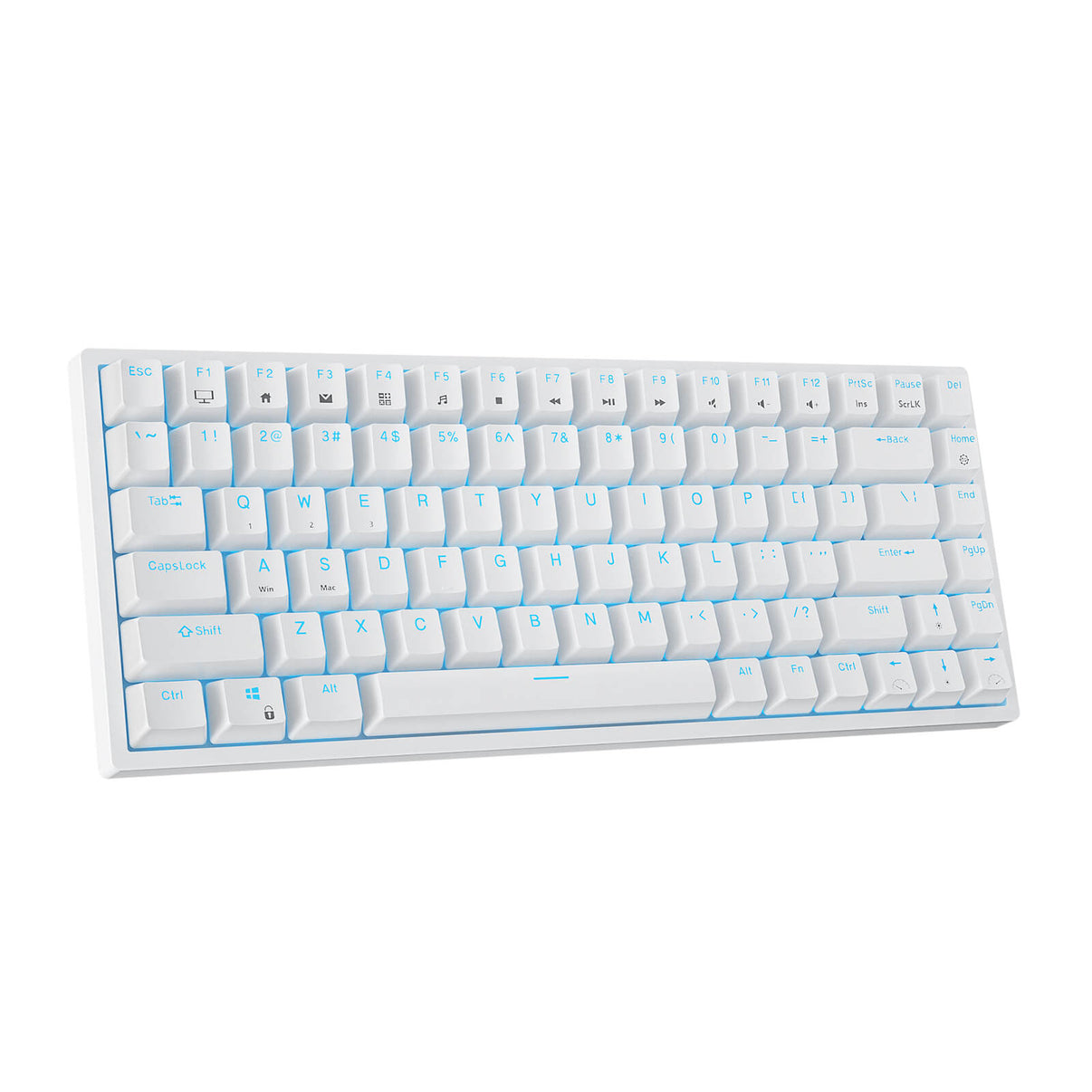 Buy Best Quality Computer Keyboards Online in India- Credkeys