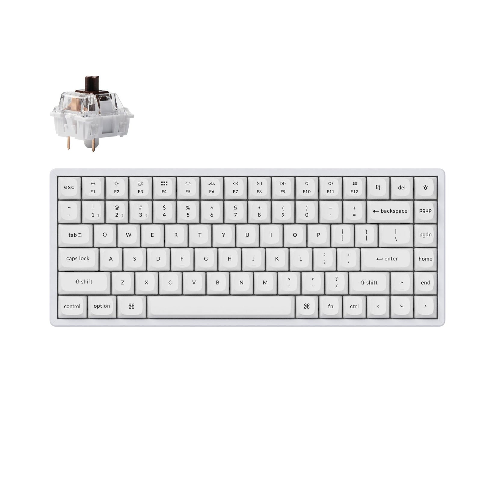 Buy Best Quality Computer Keyboards Online in India- Credkeys